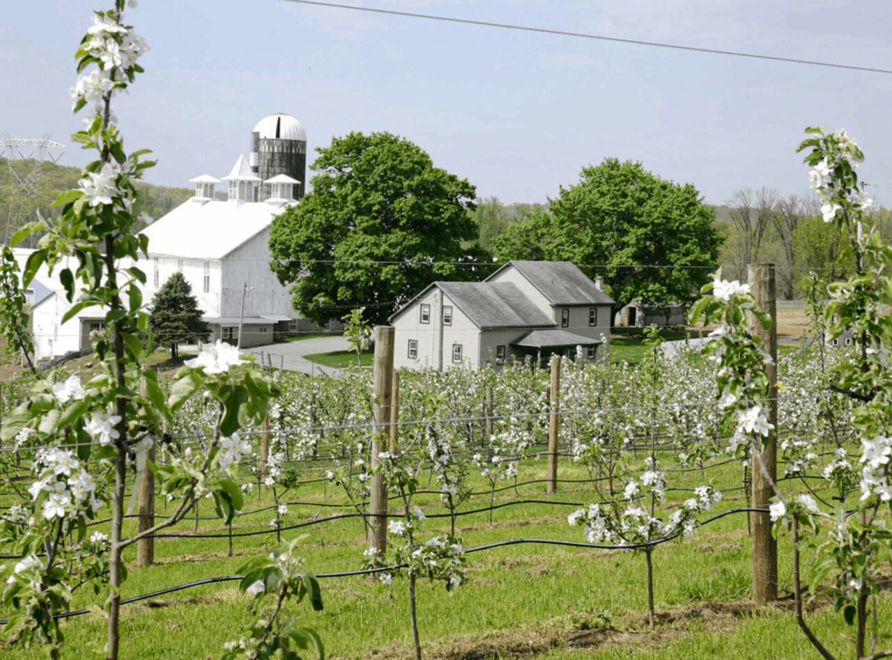 Edgewood Farm Market - reallancastercounty