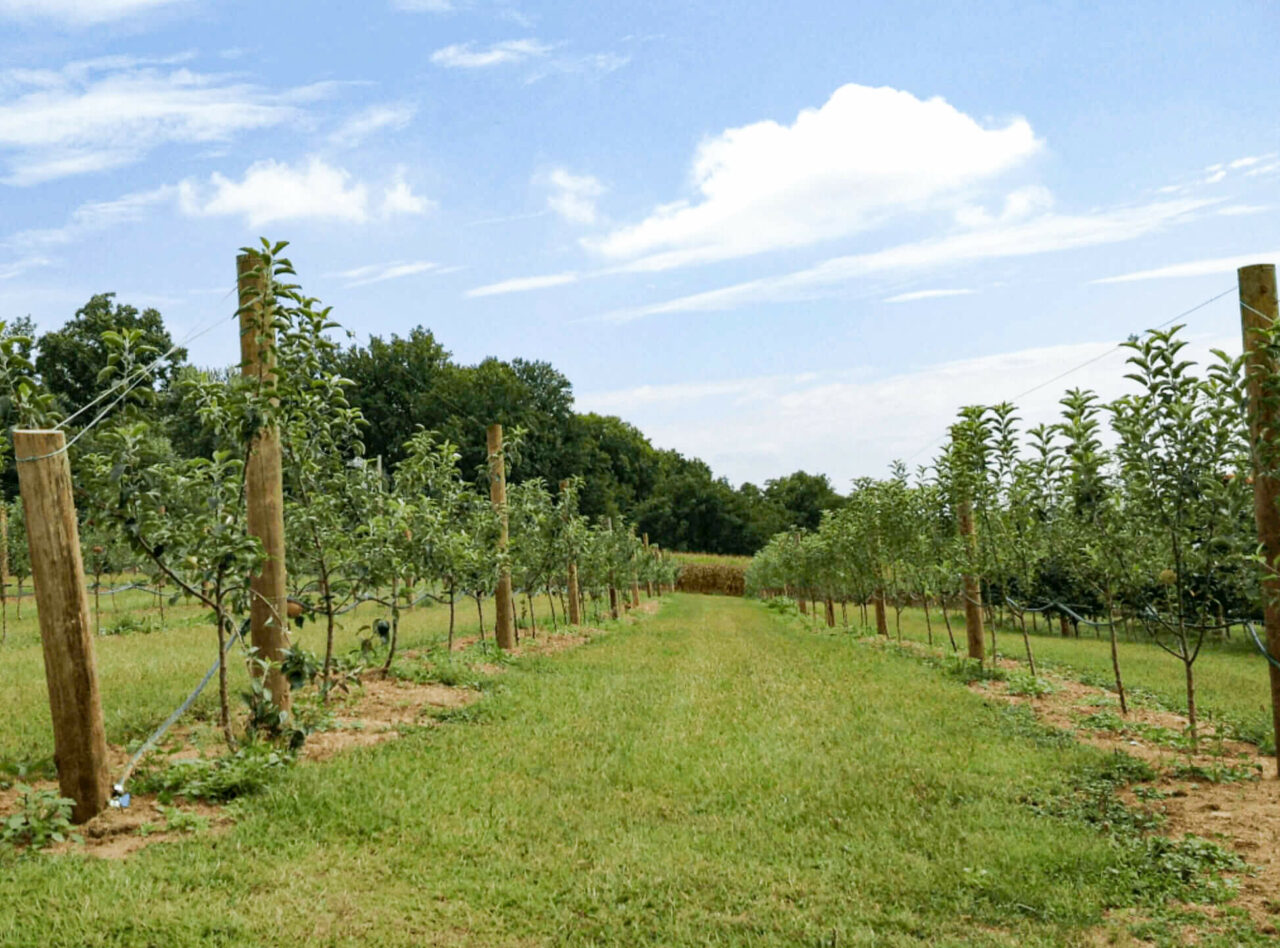 Edgewood Farm Market - reallancastercounty
