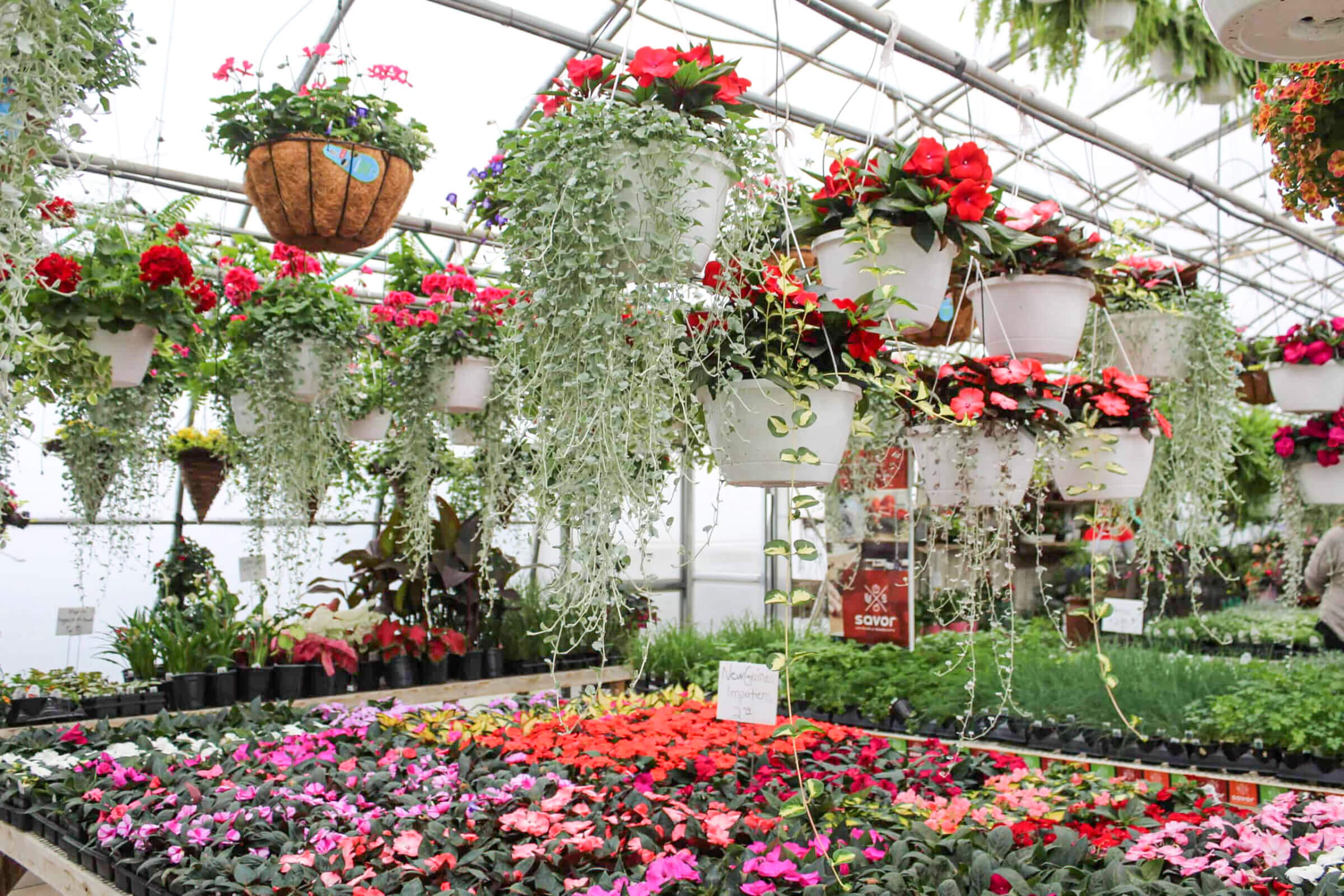 Hoover’s Greenhouse of Leola | reallancastercounty