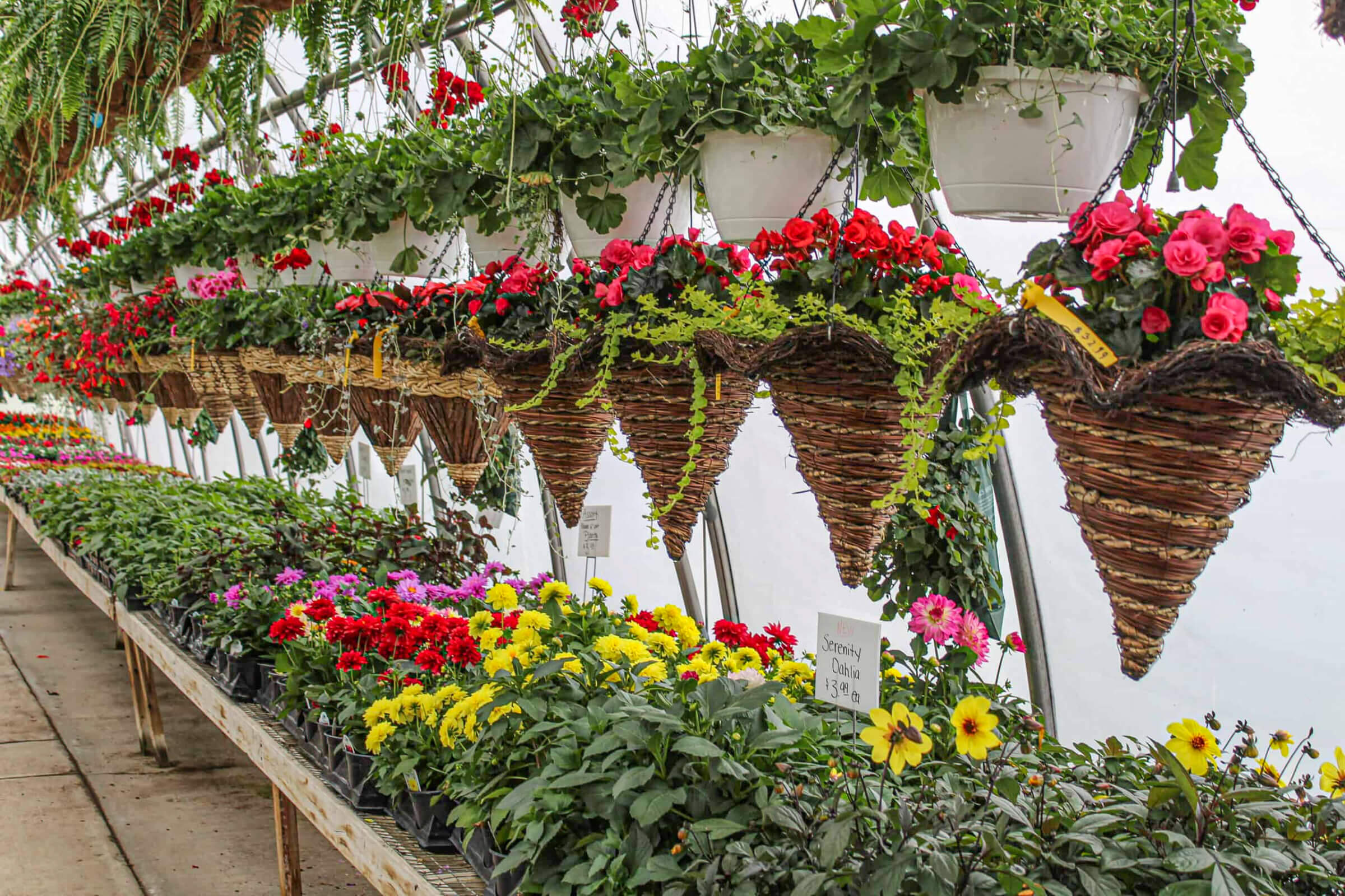 Hoover’s Greenhouse of Leola | reallancastercounty