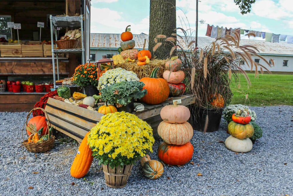 Lapp's Farm Market - reallancastercounty