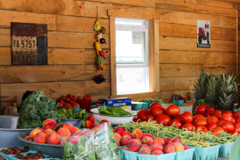 Lapp's Farm Market - reallancastercounty