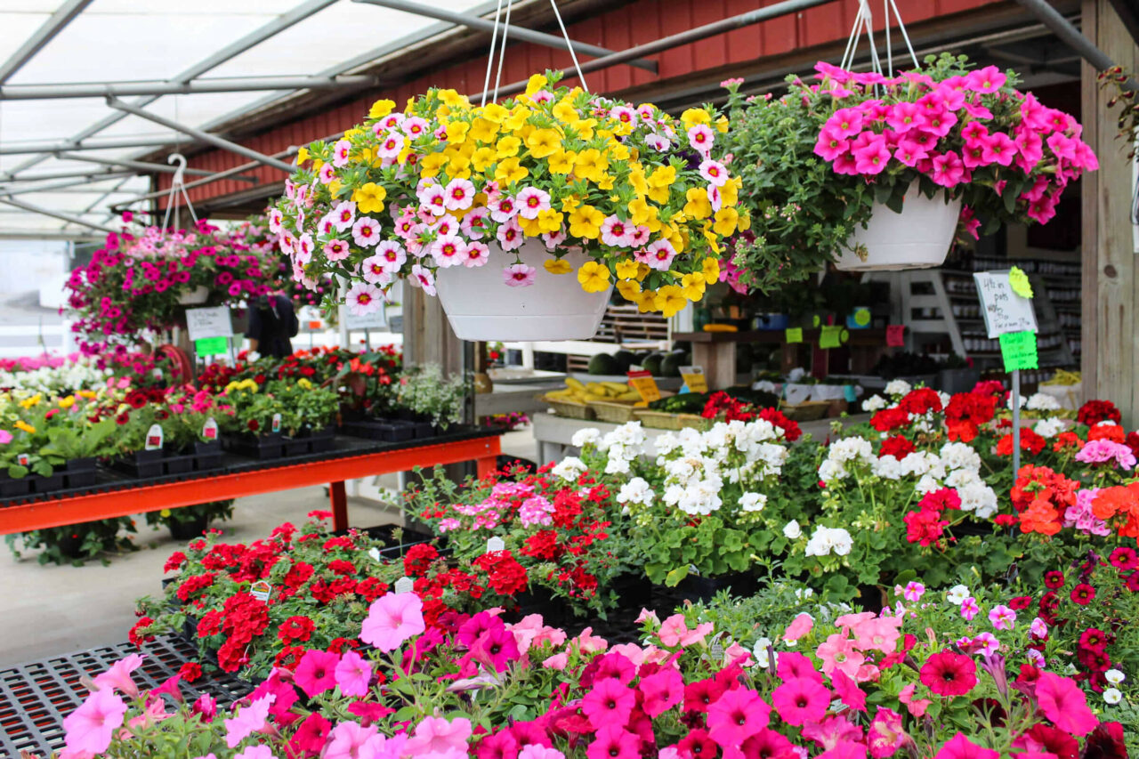 Red Barn Market | reallancastercounty