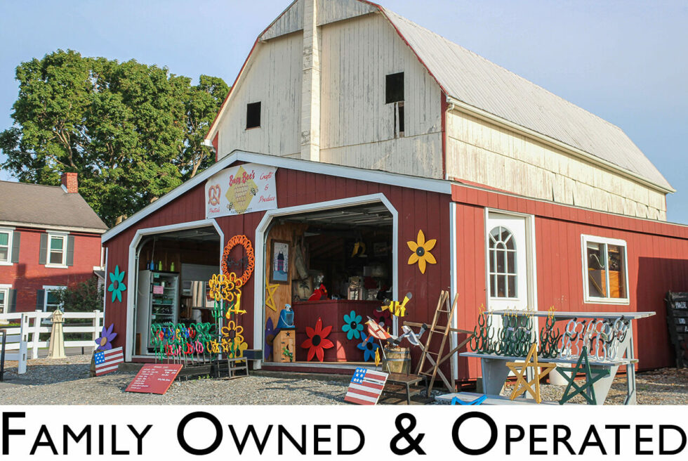 Busy Bee's Farm Market - reallancastercounty