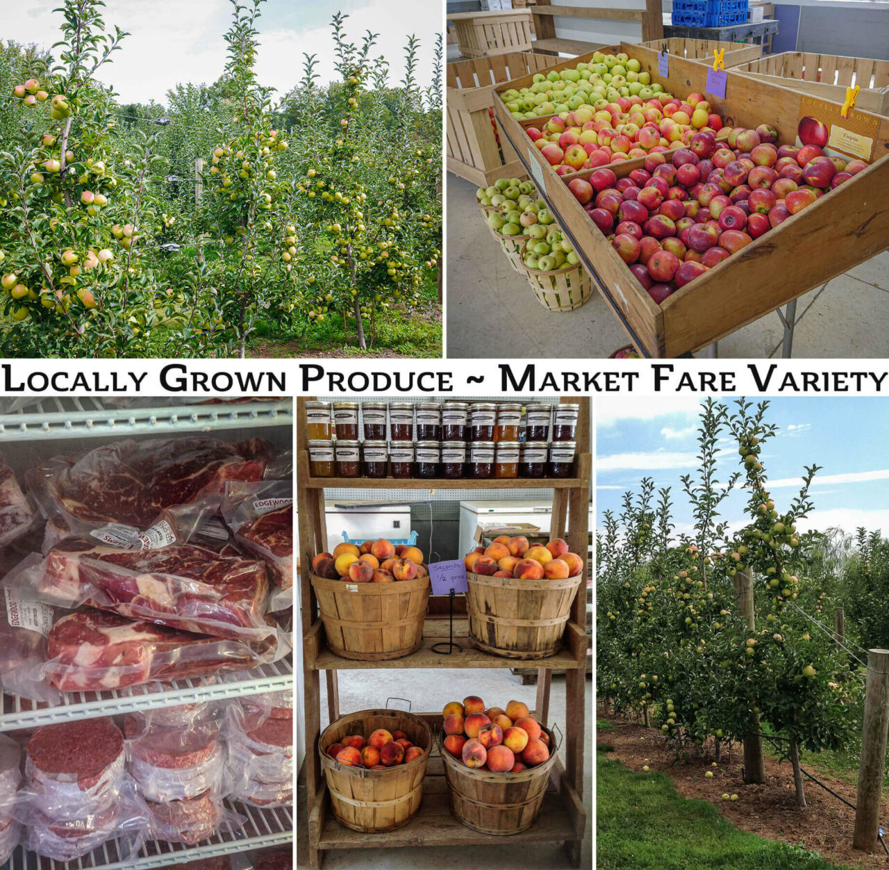 Edgewood Farm Market | reallancastercounty