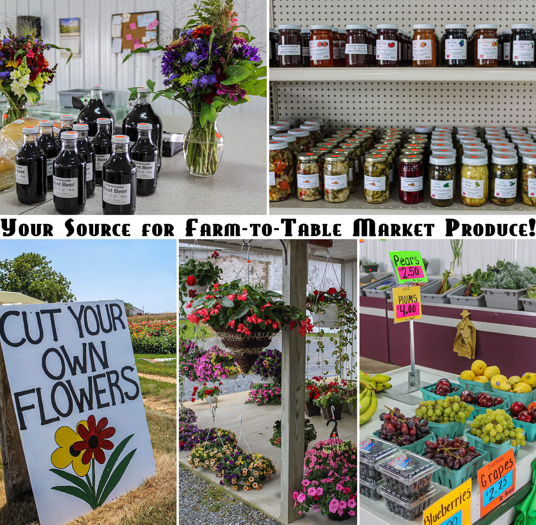 EverFresh Produce | reallancastercounty