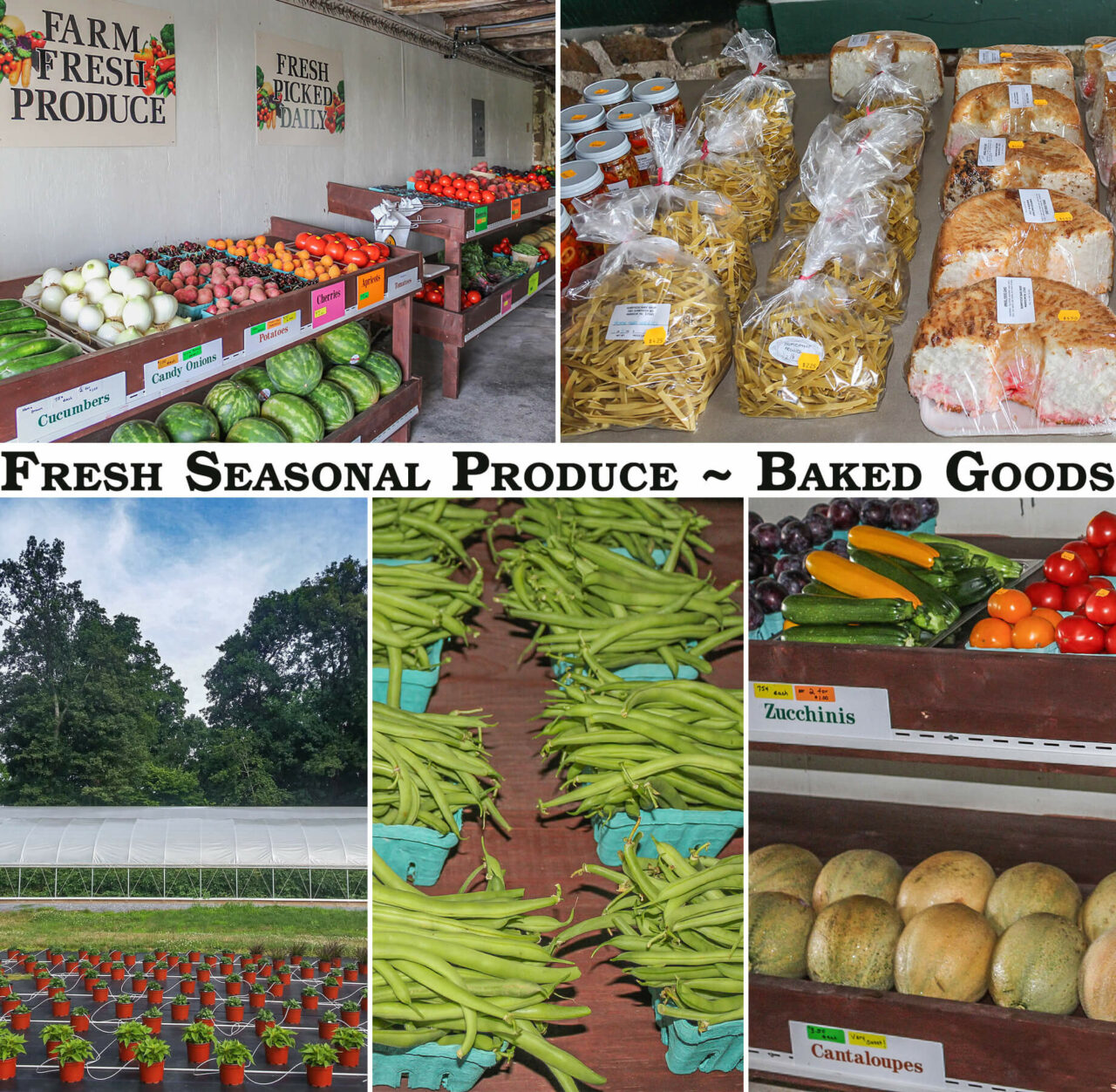 Campus Ridge Farm Market | reallancastercounty