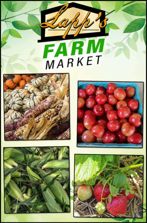 Lapp's Farm Market - reallancastercounty