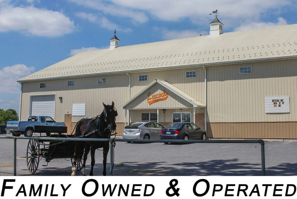 Leacock Sports | reallancastercounty