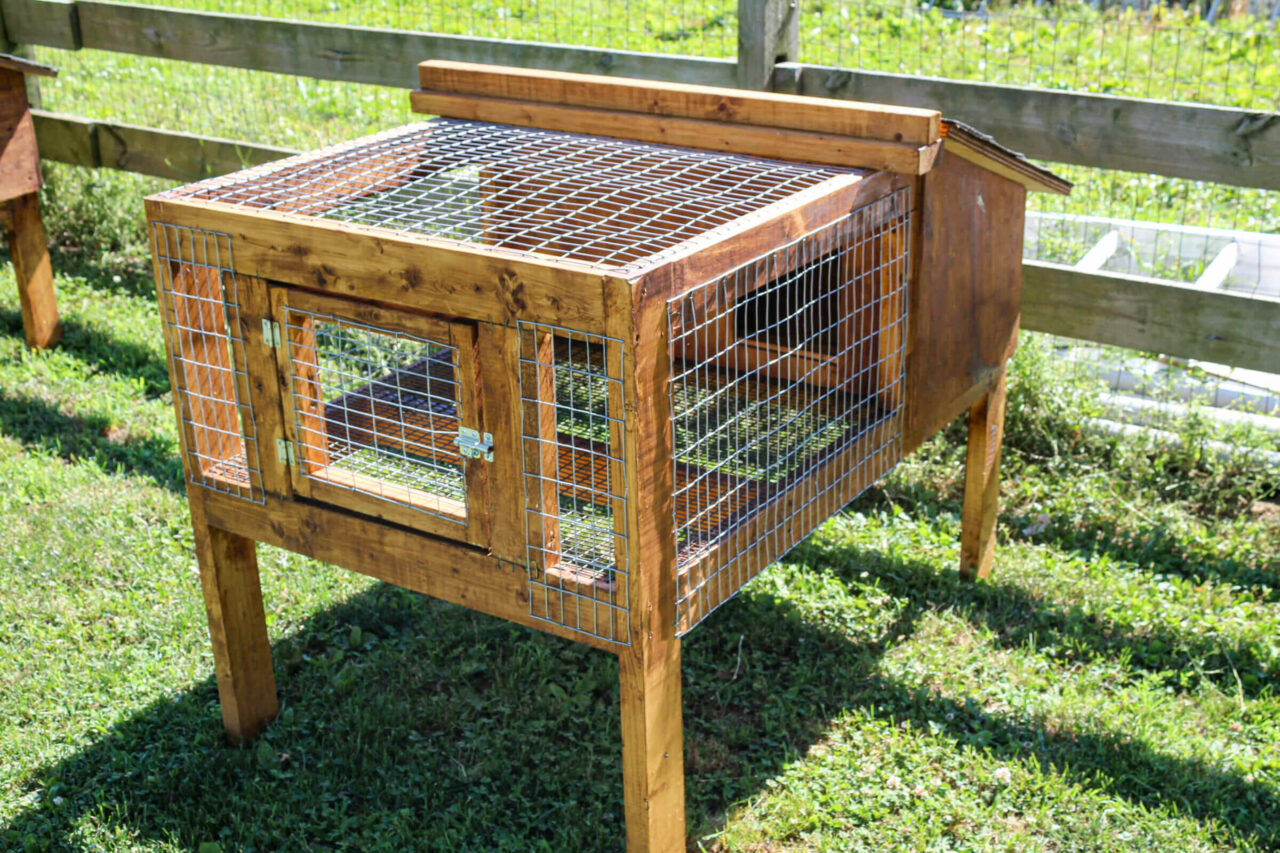 Martin’s Animal Structures | reallancastercounty