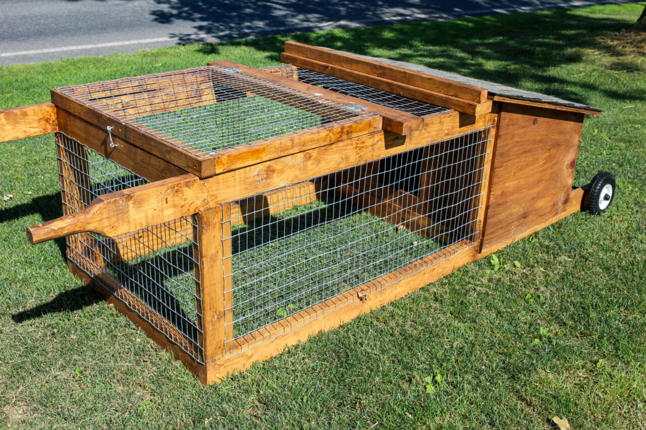 Martin’s Animal Structures | reallancastercounty