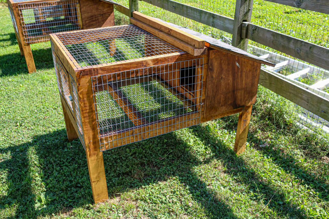 Martin’s Animal Structures | reallancastercounty