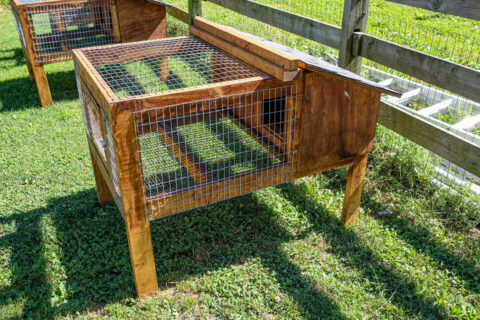 Martin’s Animal Structures | reallancastercounty