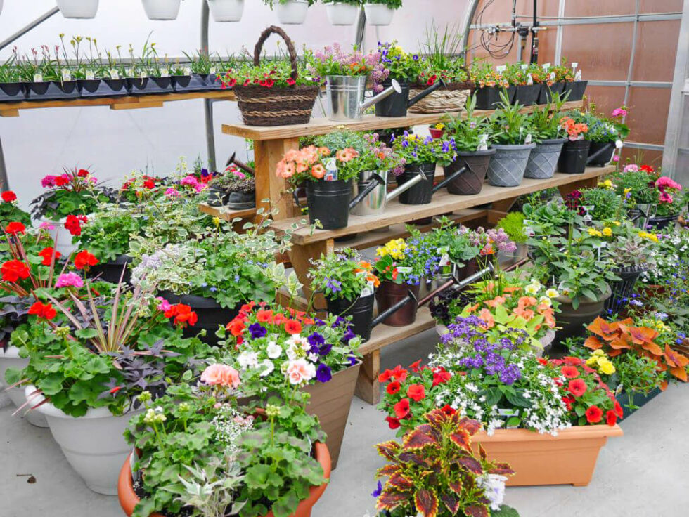 Country View Farm Market - reallancastercounty
