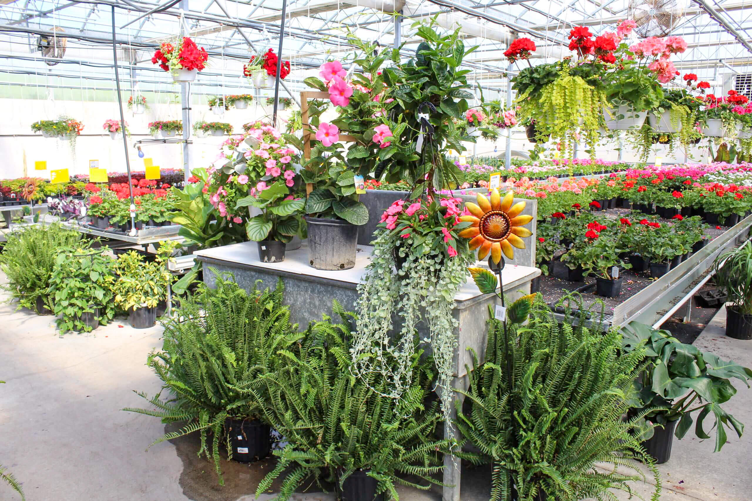 Reiff’s Farm Market and Greenhouse | reallancastercounty