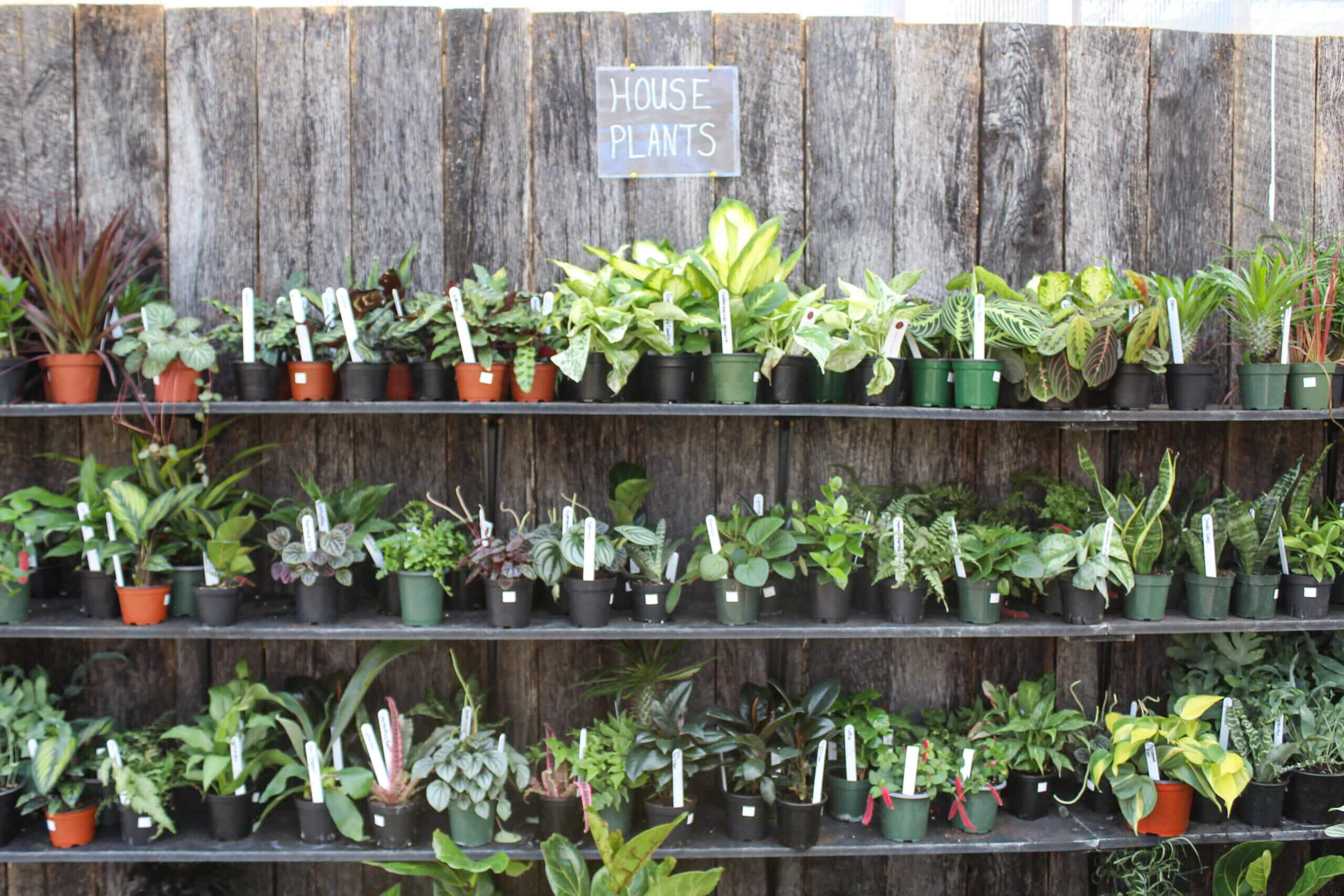 Reiff’s Farm Market and Greenhouse | reallancastercounty