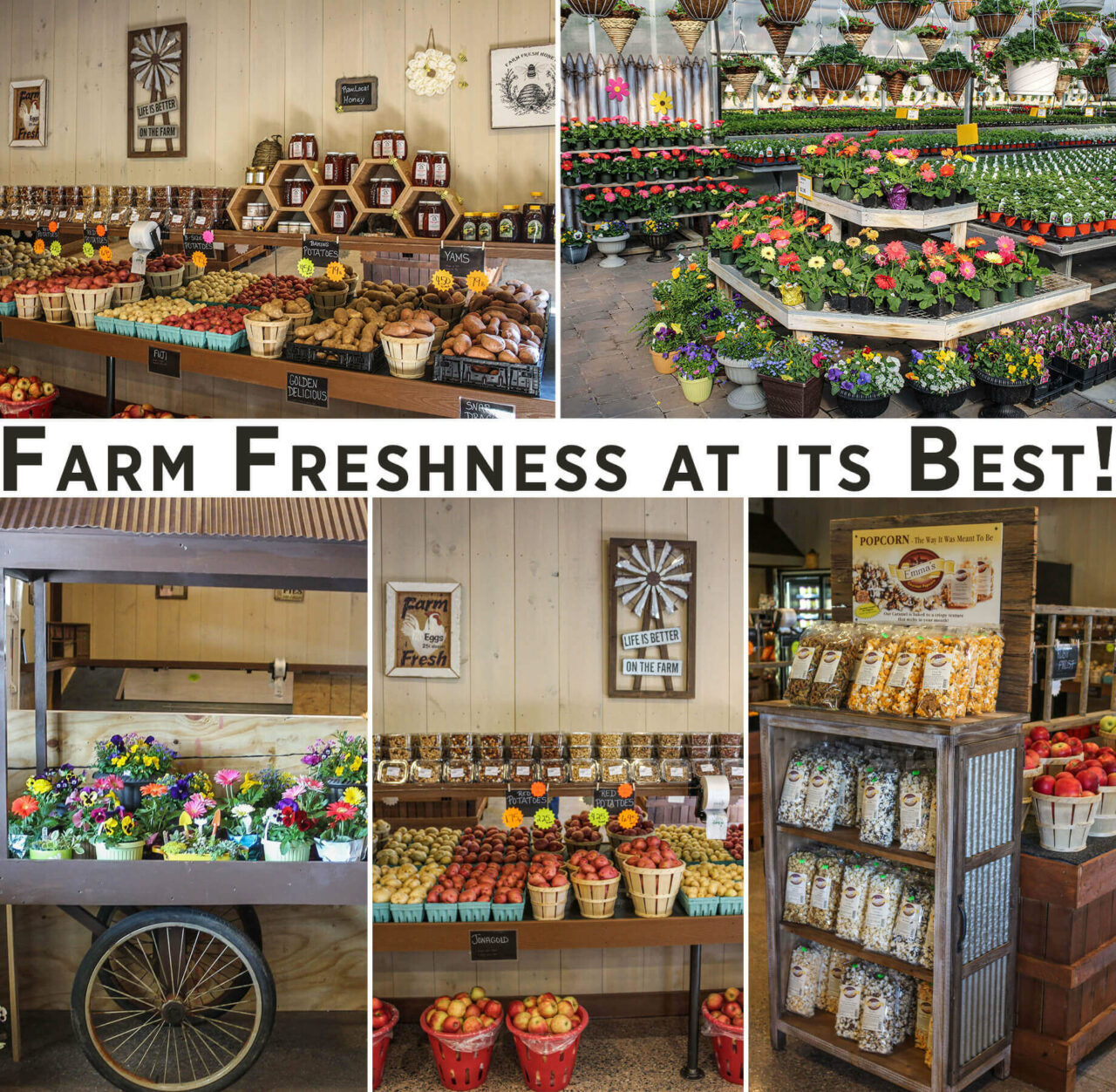 Reiff’s Farm Market and Greenhouse | reallancastercounty