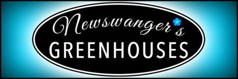 Newswanger’s Greenhouse - reallancastercounty