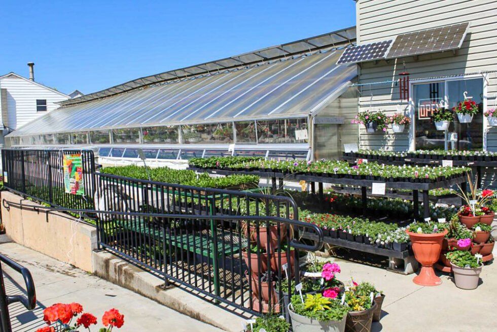 Maple Shade Road Greenhouse | reallancastercounty