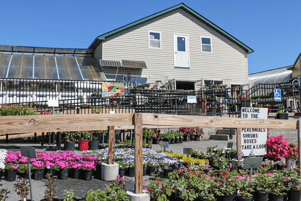 Maple Shade Road Greenhouse | reallancastercounty