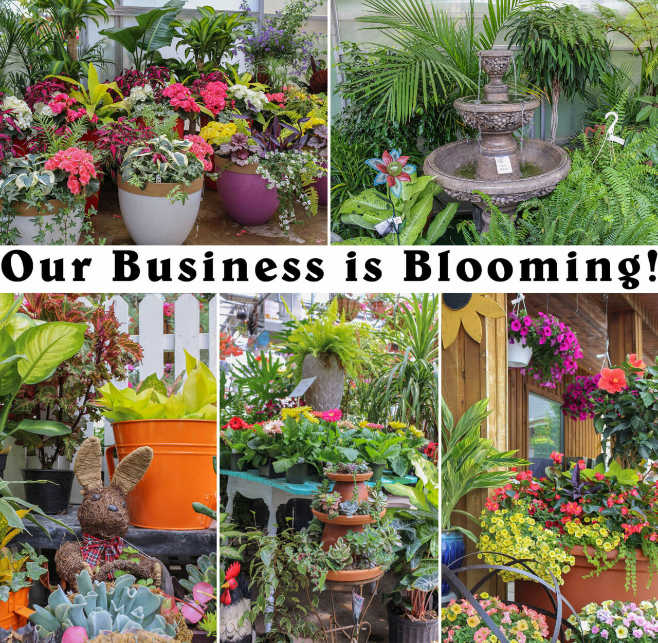 Farmstead Flowers - reallancastercounty