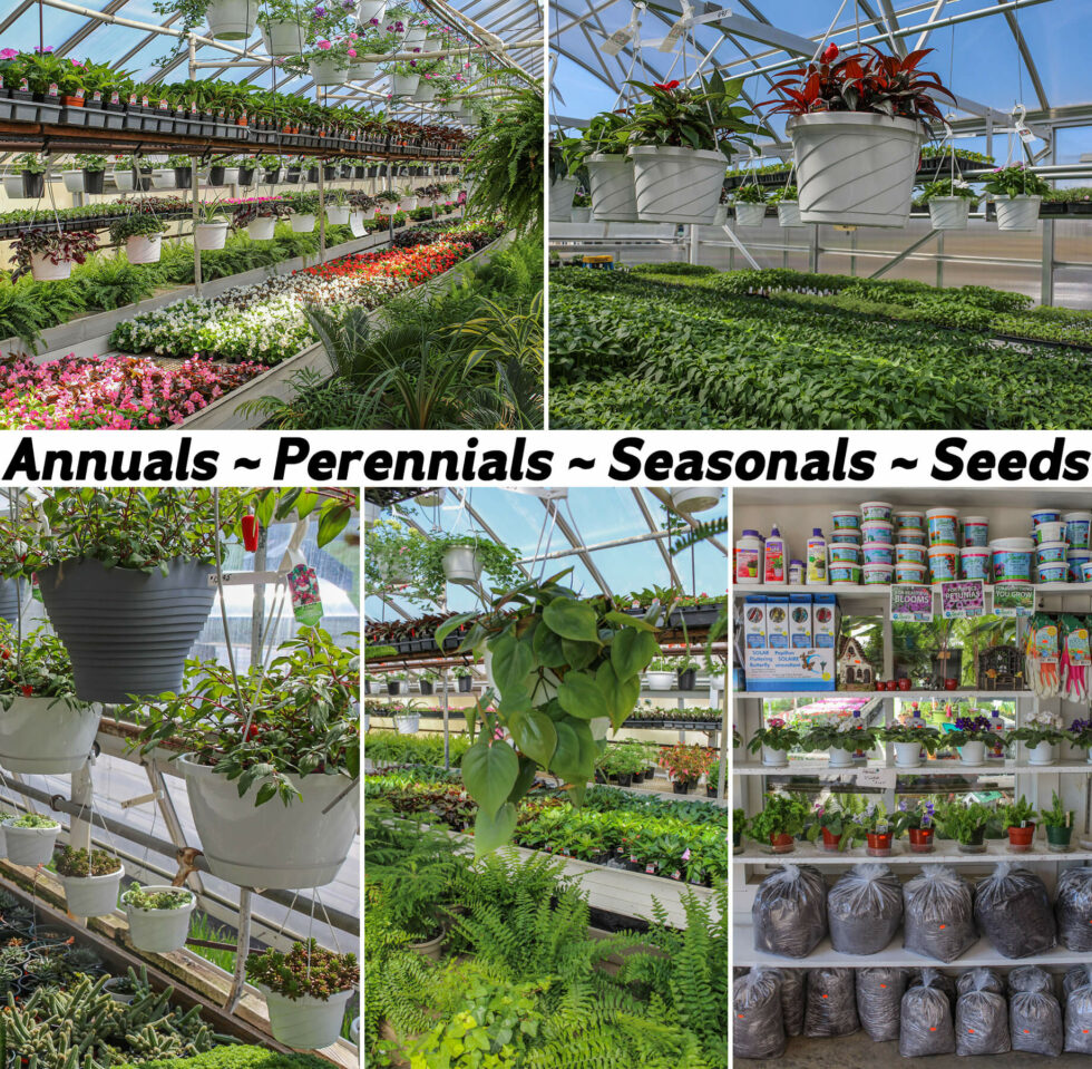 Maple Shade Road Greenhouse | reallancastercounty