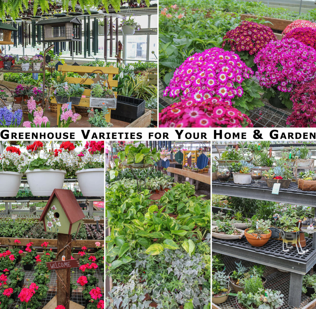 Willow Brook Greenhouse - reallancastercounty