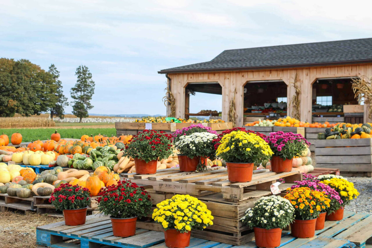 Smucker’s Farm Market | reallancastercounty