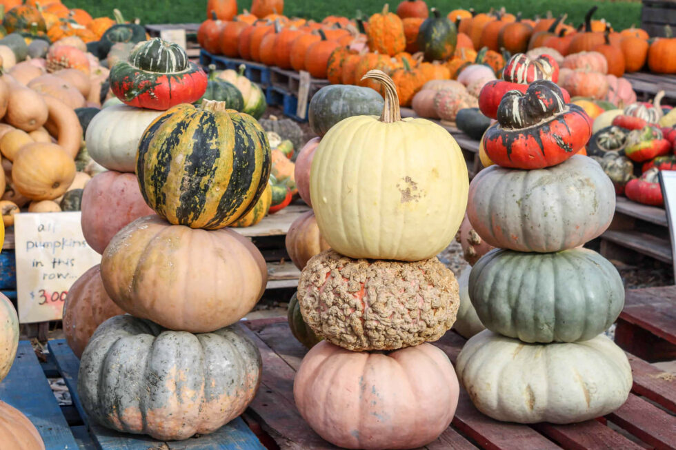 Smucker’s Farm Market | reallancastercounty