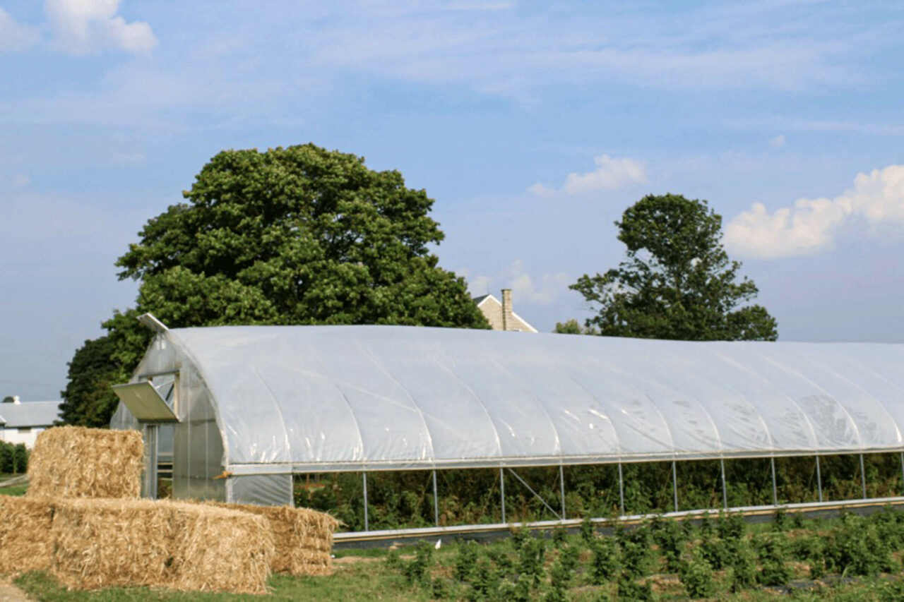 Smucker’s Farm Market | reallancastercounty