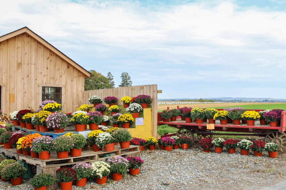 Smucker’s Farm Market | reallancastercounty