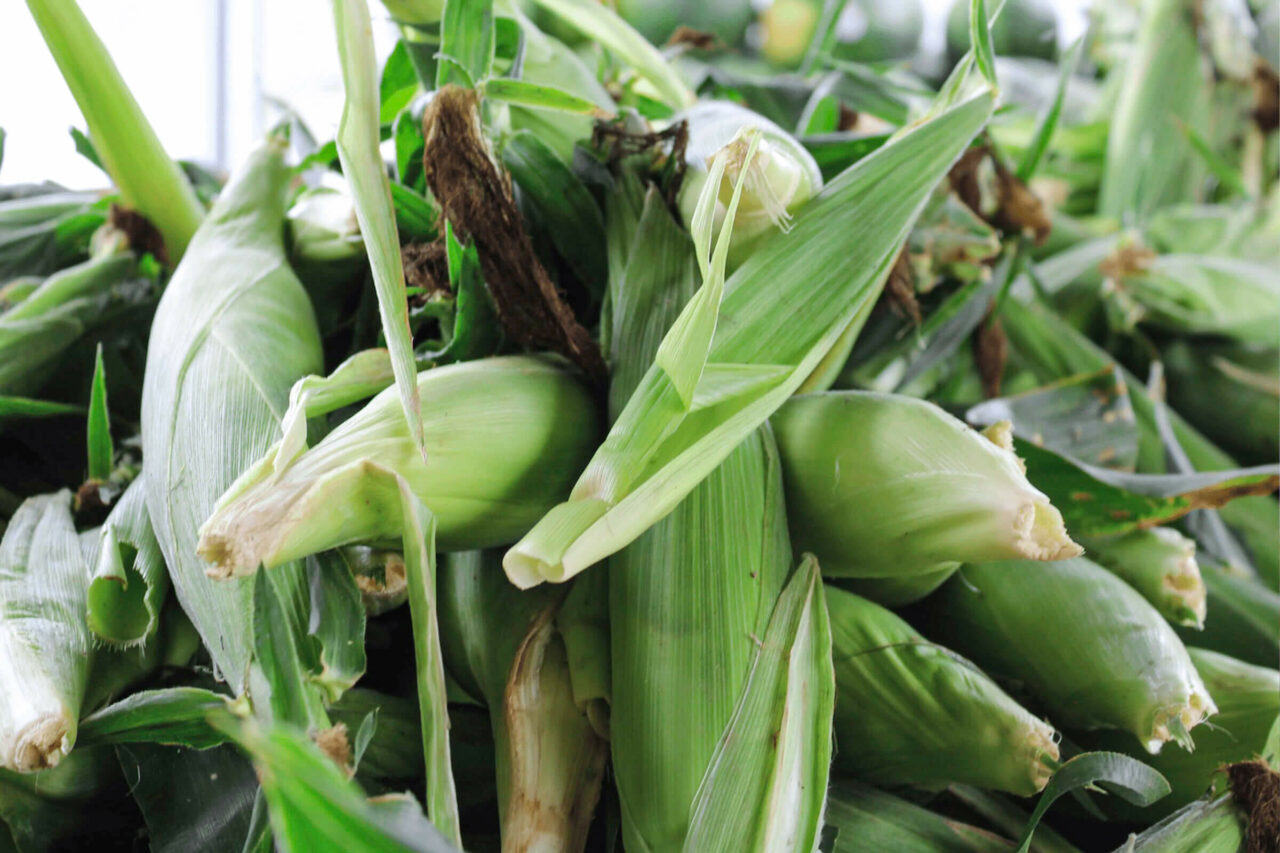 Smucker’s Farm Market | reallancastercounty