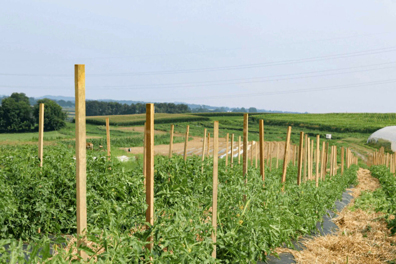 Smucker’s Farm Market | reallancastercounty