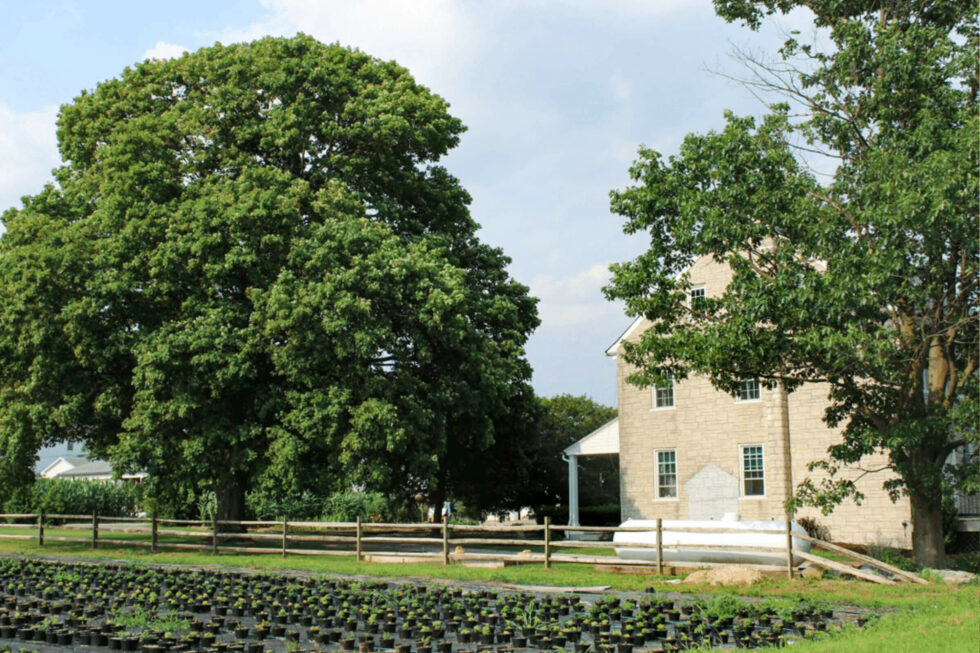 Smucker’s Farm Market | reallancastercounty