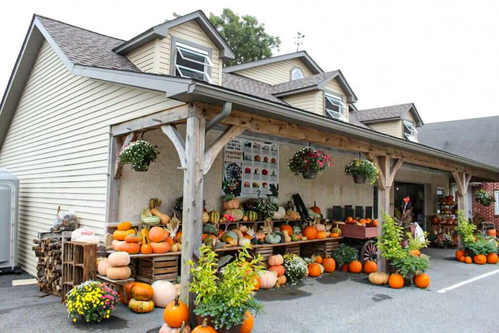 Beiler’s Fruit Farm | reallancastercounty