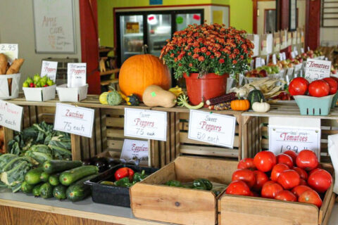 Beiler’s Fruit Farm | reallancastercounty