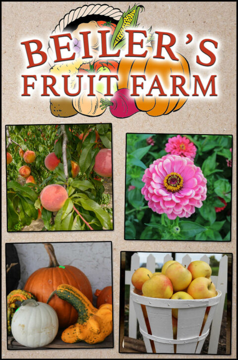Beiler’s Fruit Farm | reallancastercounty