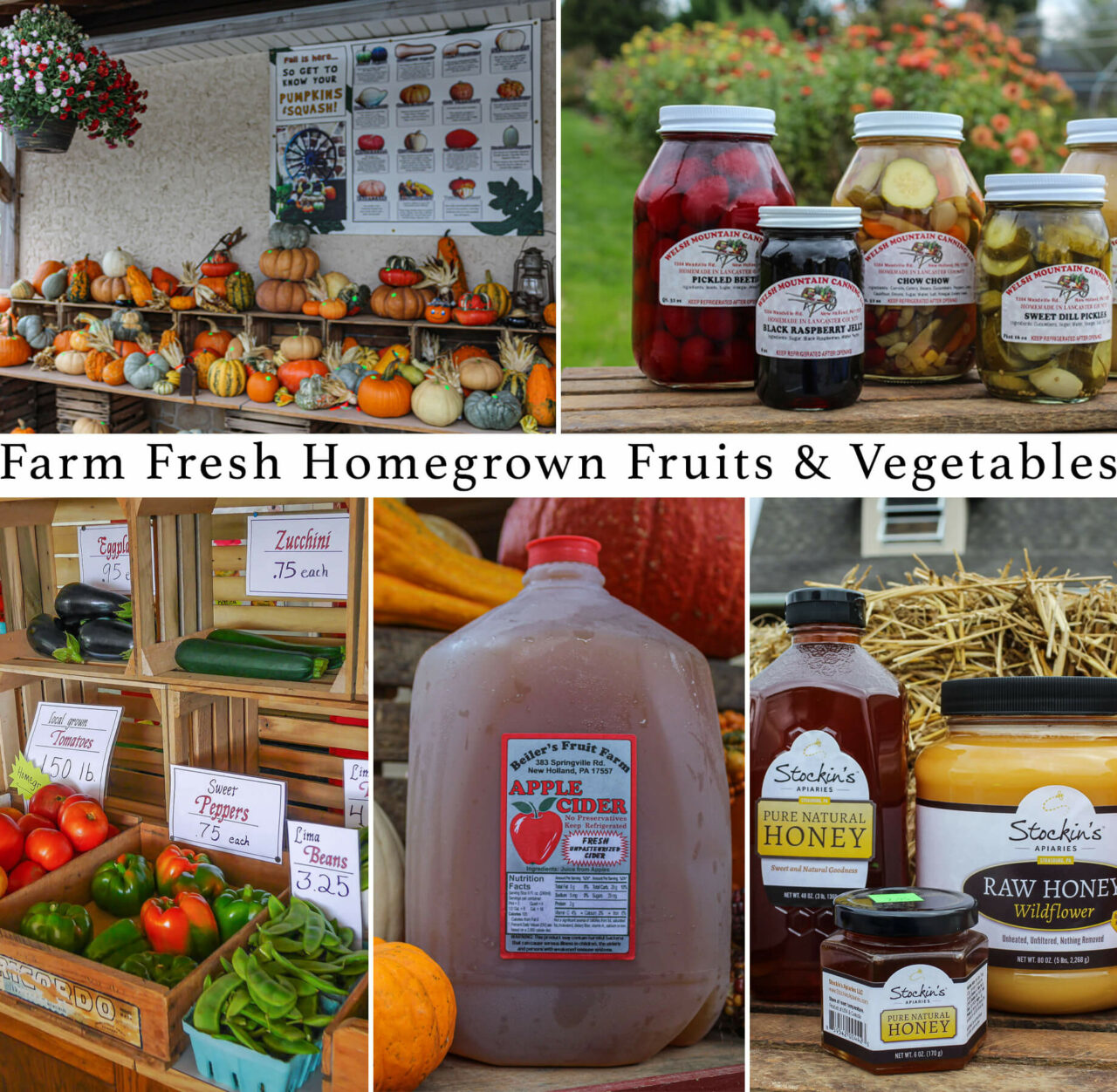 Beiler’s Fruit Farm | reallancastercounty