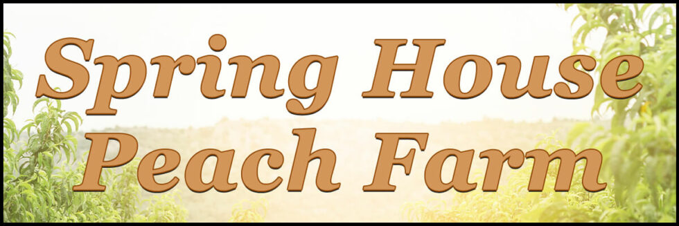 Spring House Peach Farm | reallancastercounty