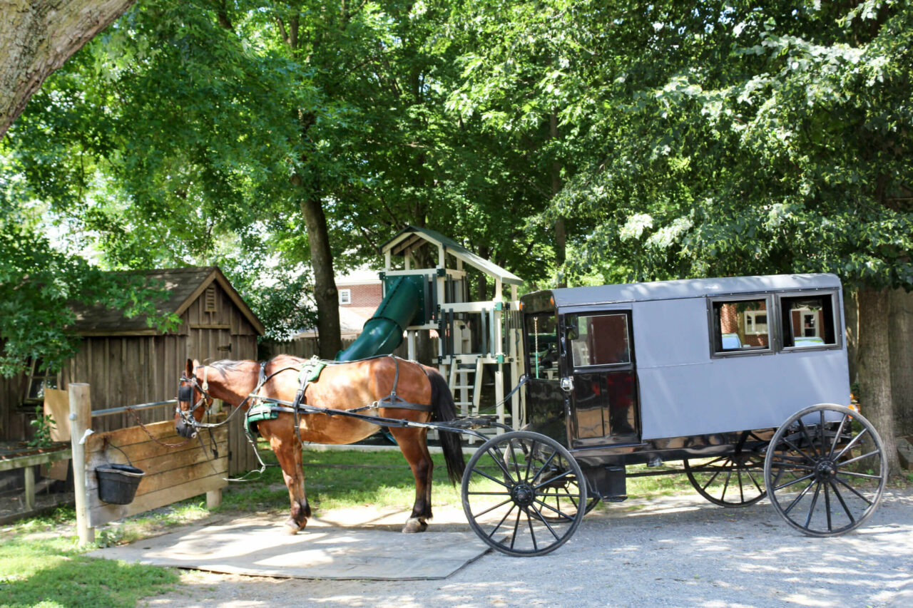 Abe’s Buggy Rides | reallancastercounty