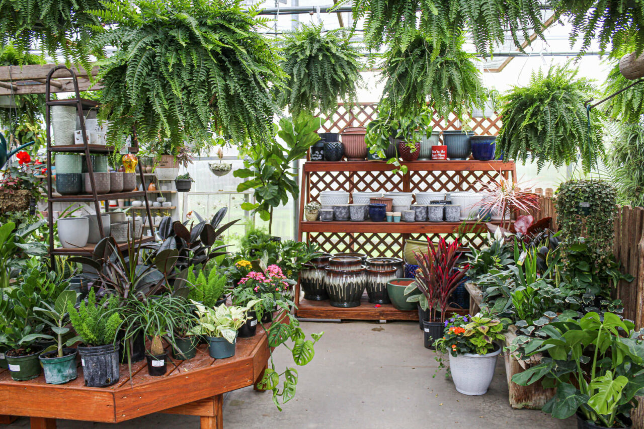 Town’s Edge Garden Center - reallancastercounty