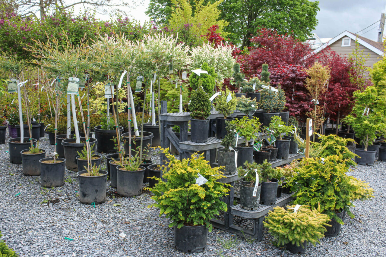 Town’s Edge Garden Center - reallancastercounty