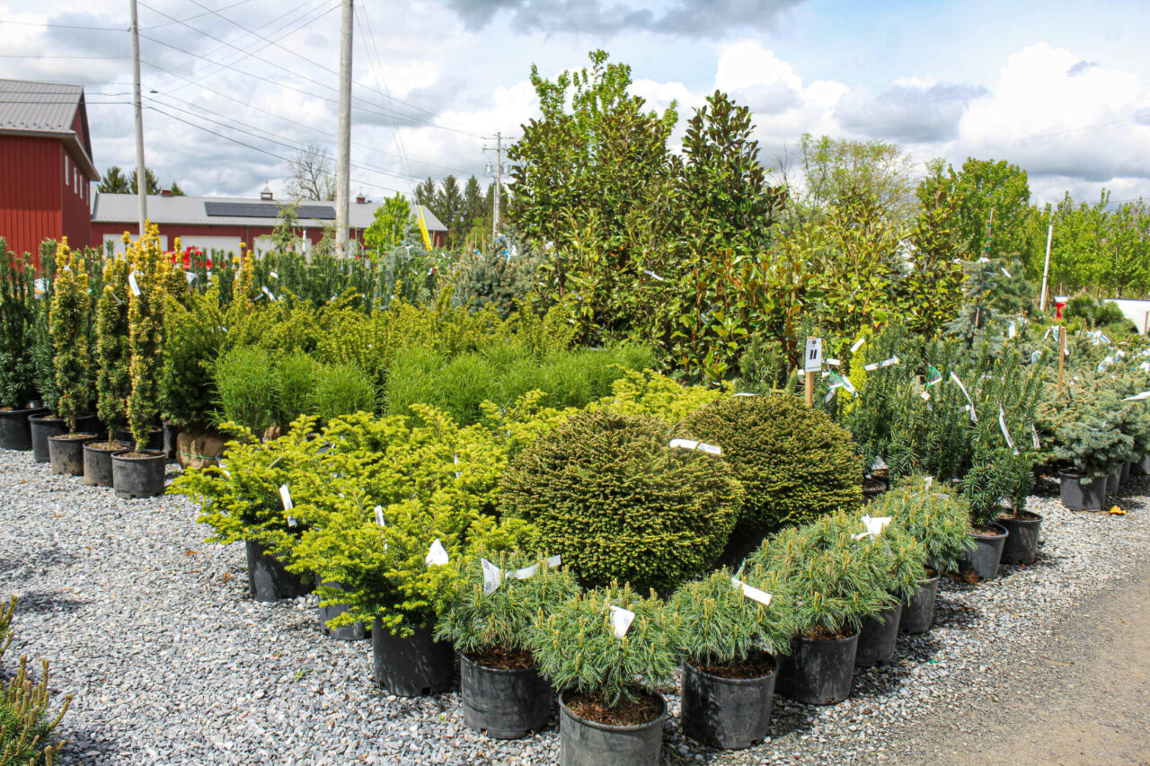 Town’s Edge Garden Center - reallancastercounty