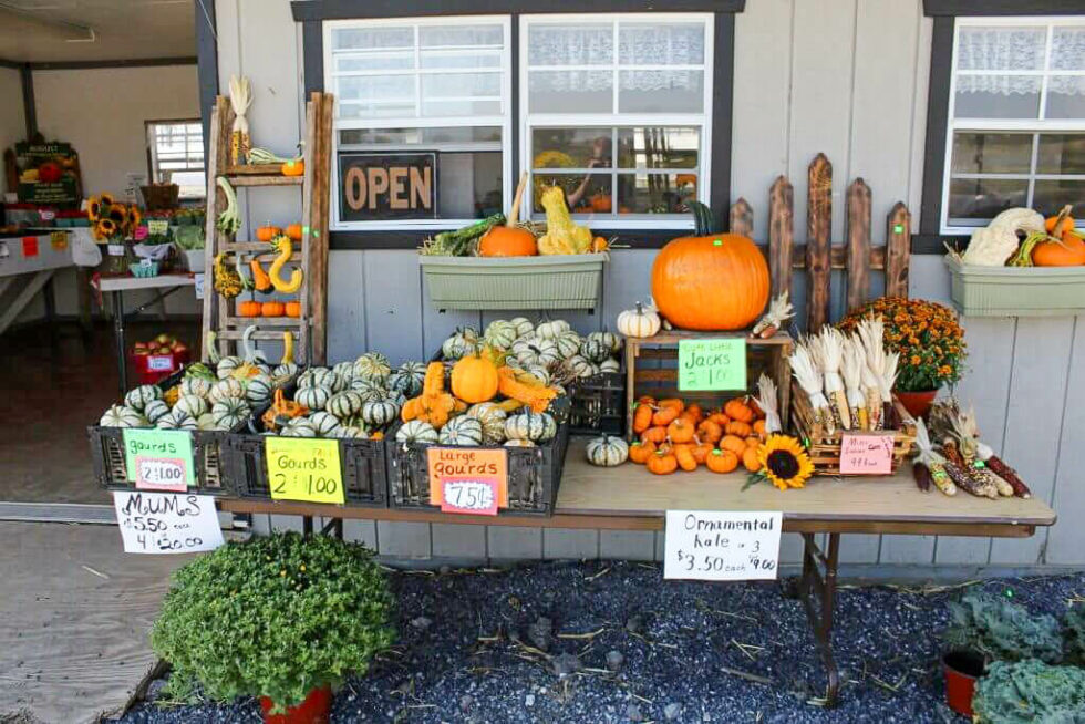 Garden Spot Farm Market - reallancastercounty