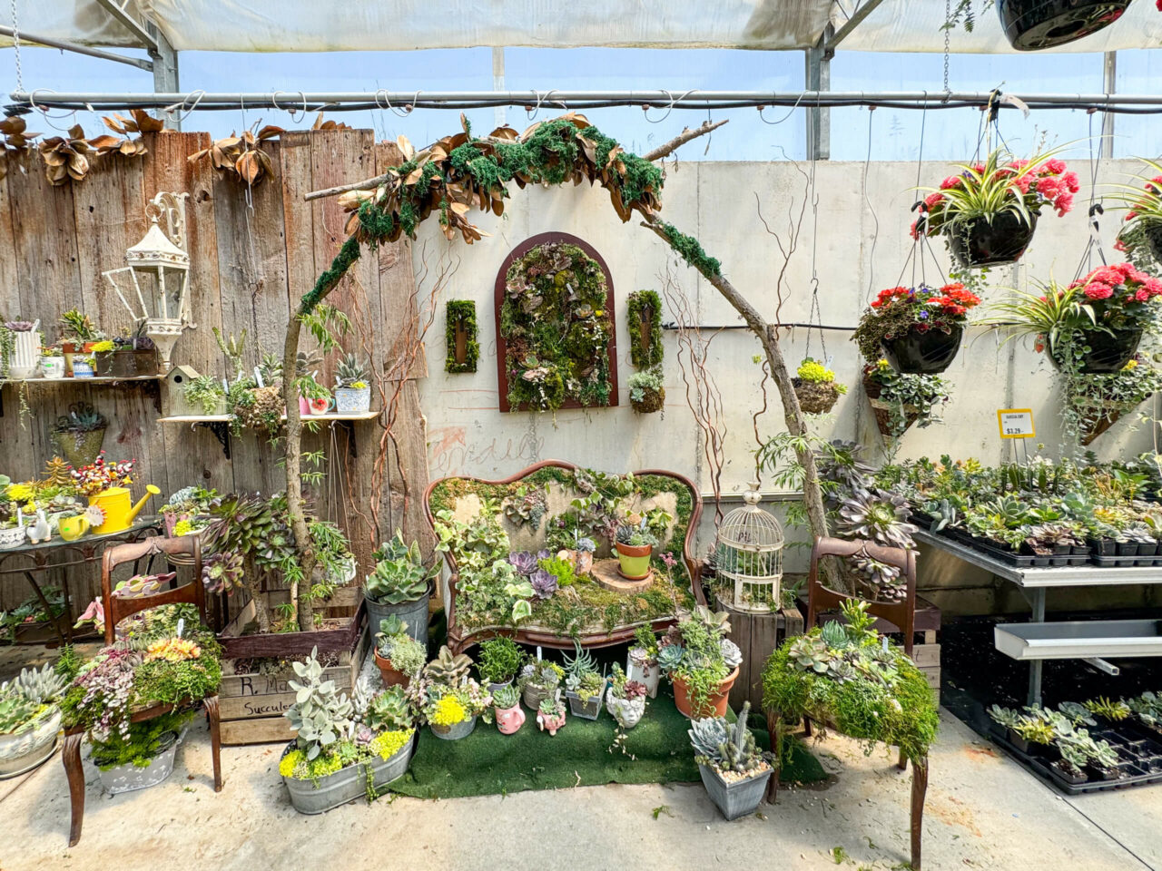 Reiff’s Farm Market and Greenhouse | reallancastercounty