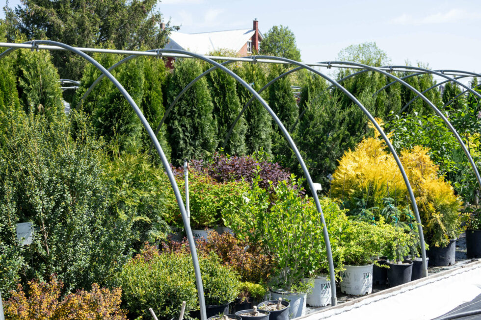 Country Meadows Nursery | reallancastercounty