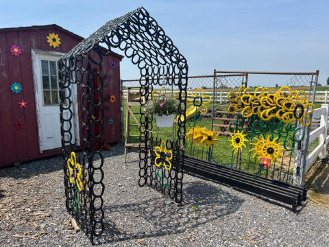 Busy Bee's Farm Market - reallancastercounty